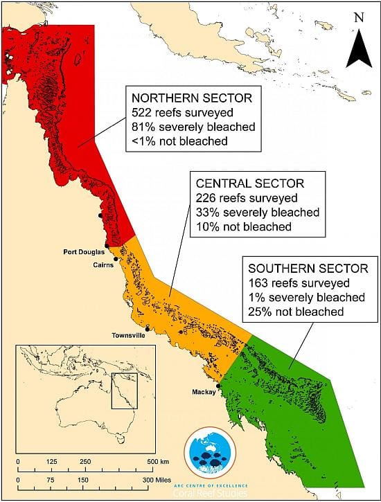 Great Barrier Reef bleaching severest in its northern coral reefs - Marinet