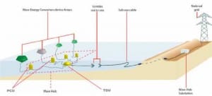 Marinet – Marine Conservation For The UK